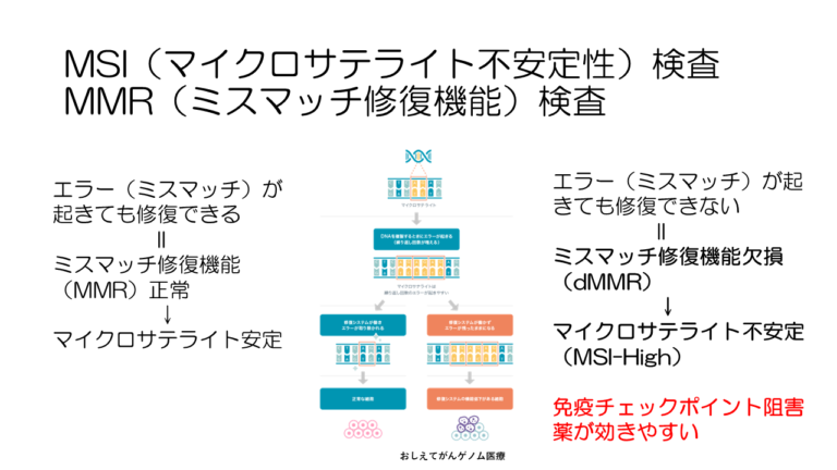 免疫チェックポイント阻害薬はどんな患者さんに効くのか？