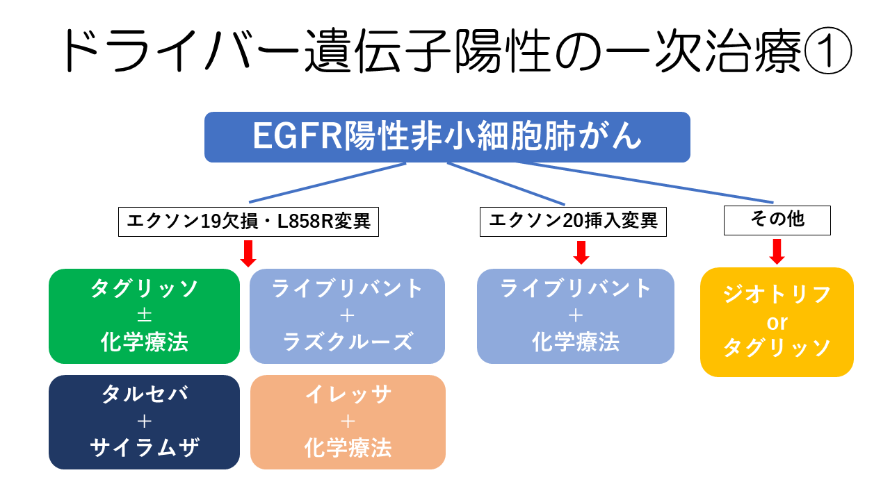 【ジオトリフ】稀なEGFR陽性肺がんによく効く分子標的薬